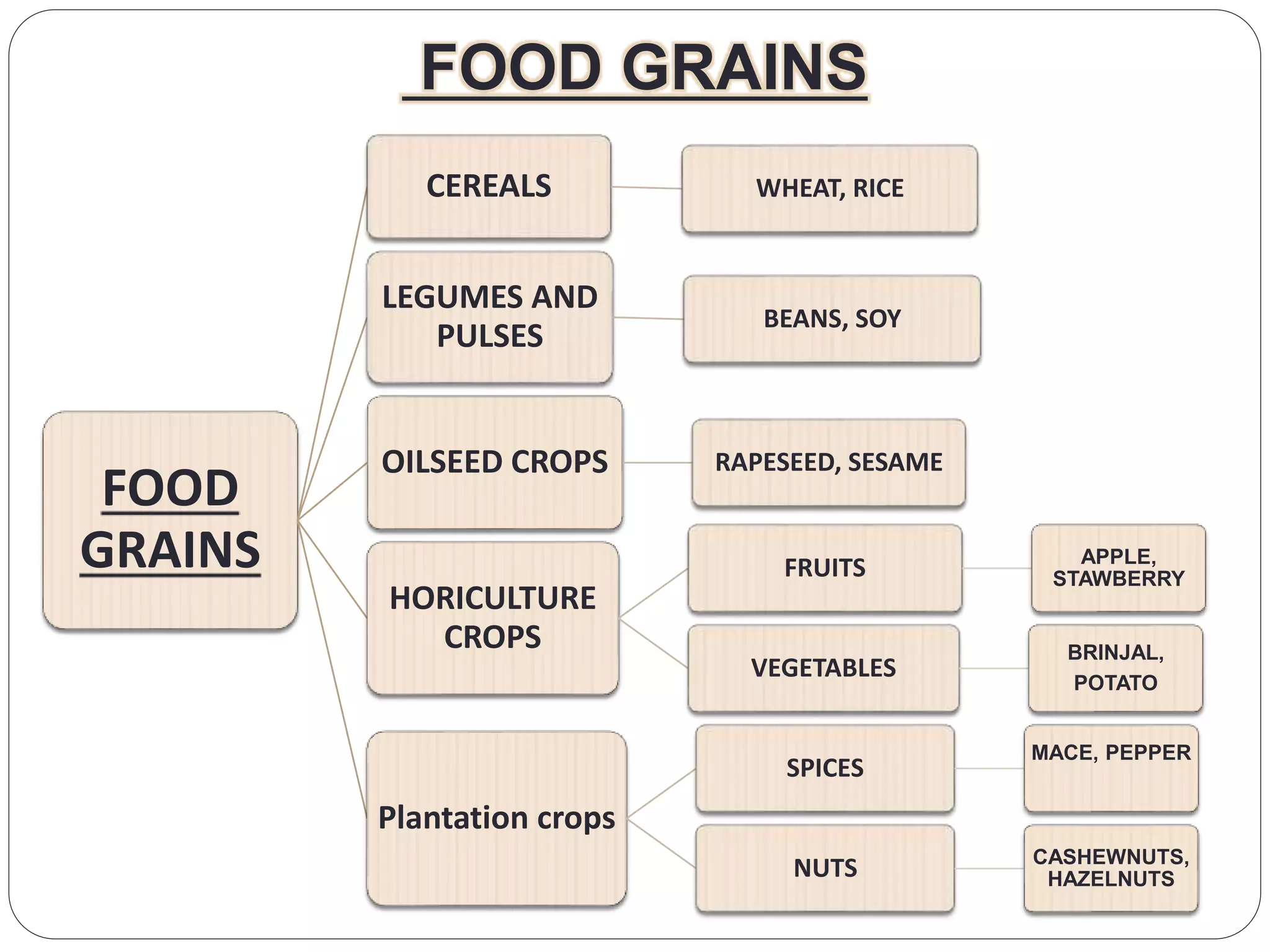 FOODS OF PLANT ORIGIN | PPTX