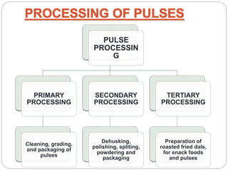 FOODS OF PLANT ORIGIN | PPTX