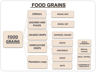 FOODS OF PLANT ORIGIN | PPTX
