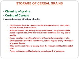 FOODS OF PLANT ORIGIN | PPTX