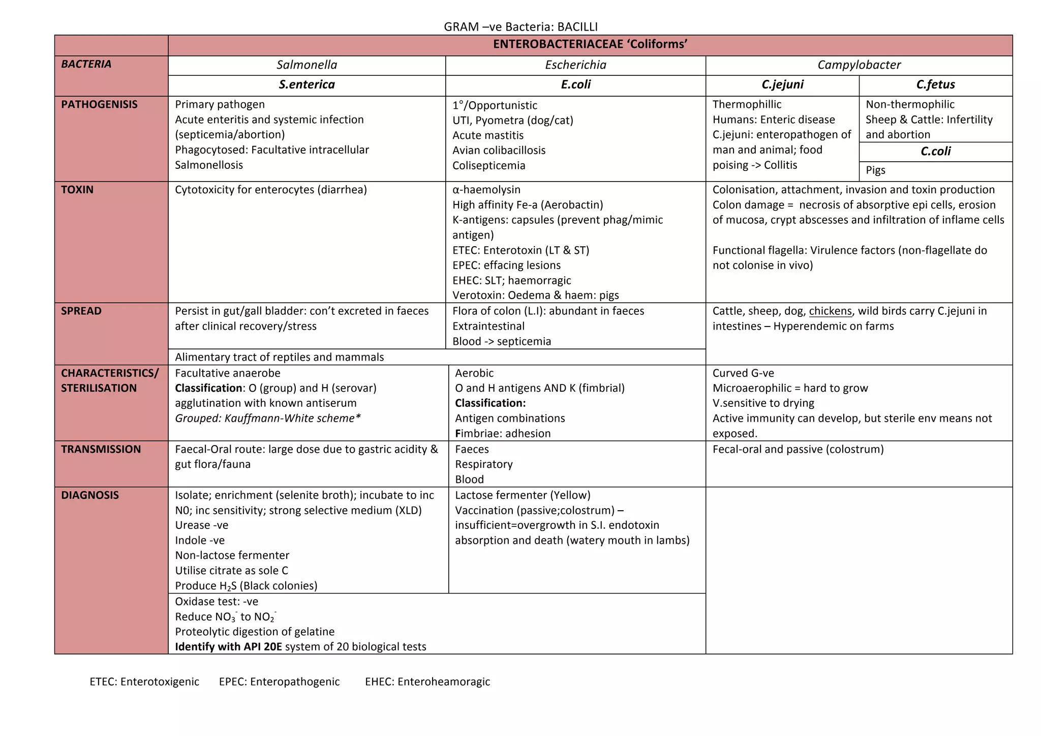 Gram negative bacilli | PDF