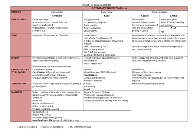 Gram negative bacilli | PDF