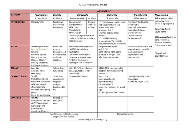 Gram negative bacilli | PDF