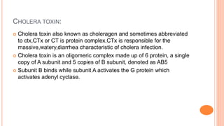 Gram negative-bacteria(vibrio cholerae)-for-food-borne-infection | PPTX ...