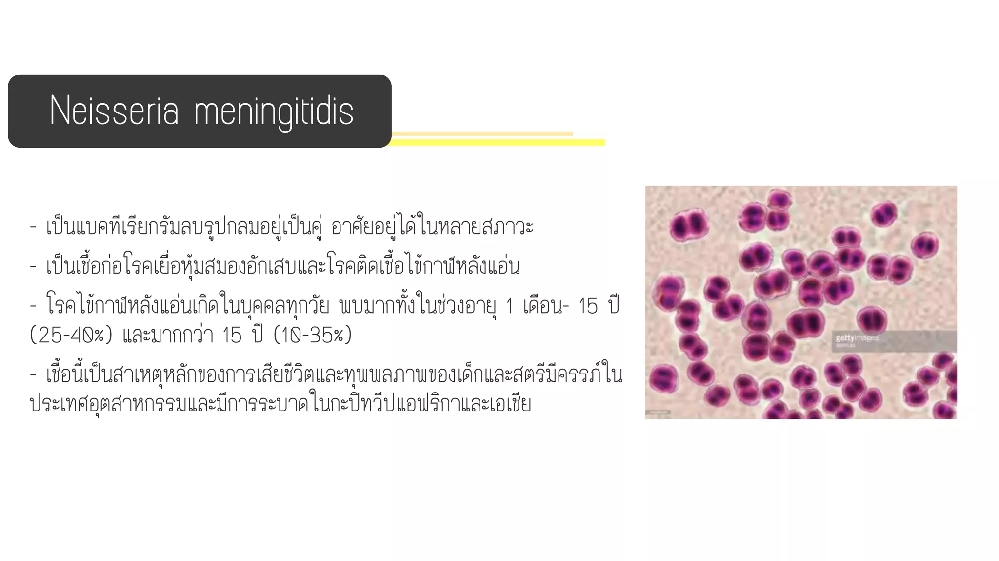 Gram negative-oxidase-positive | PPTX