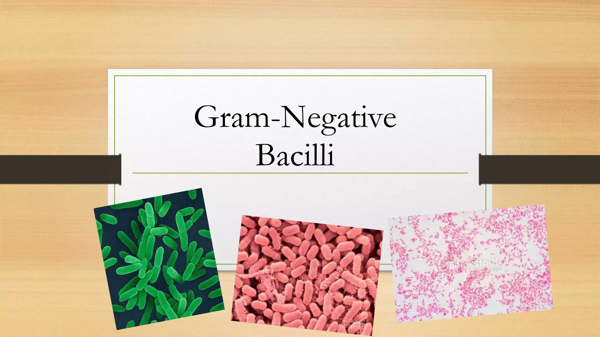 Gram negative bacilli oxidase - | PPTX