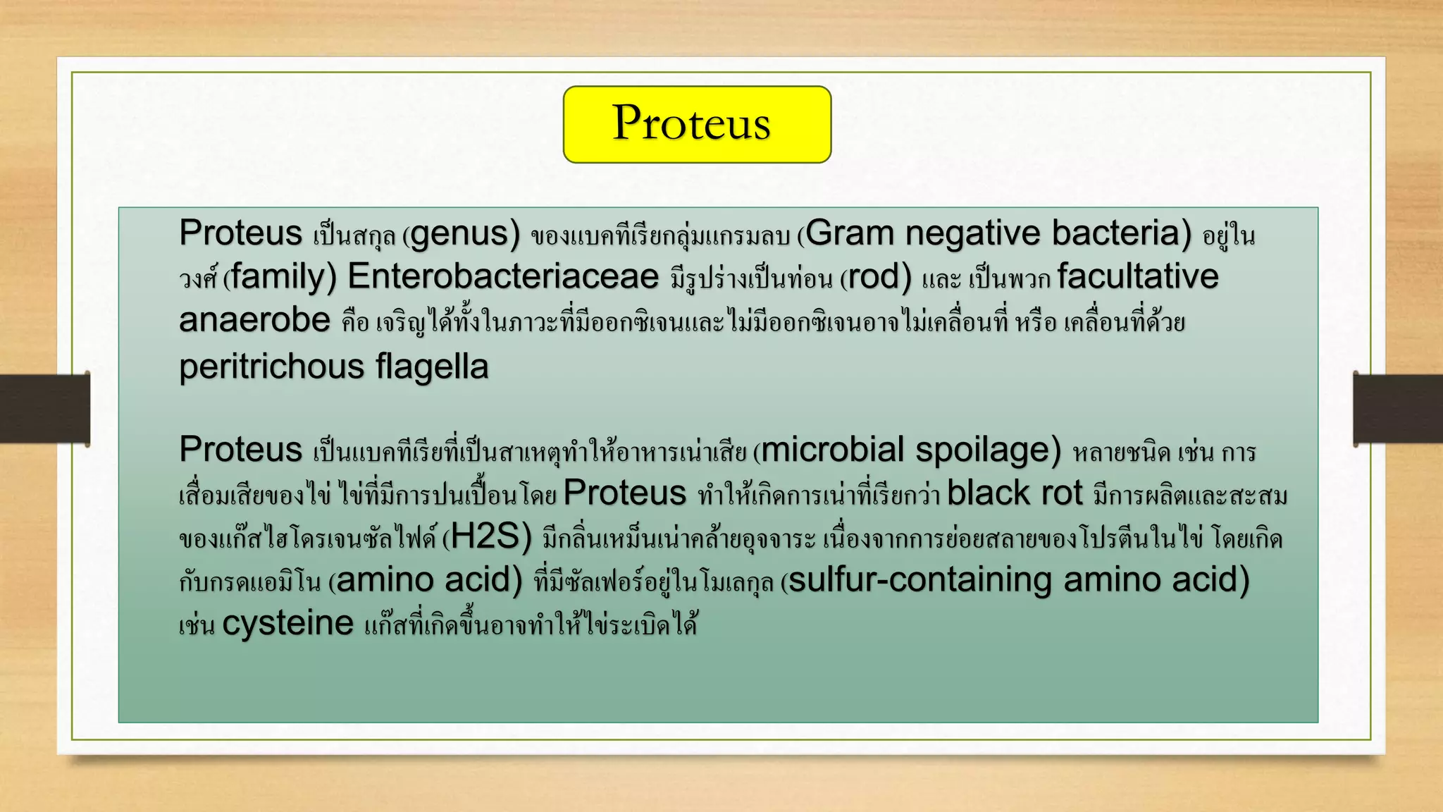 Gram negative bacilli oxidase - | PPTX