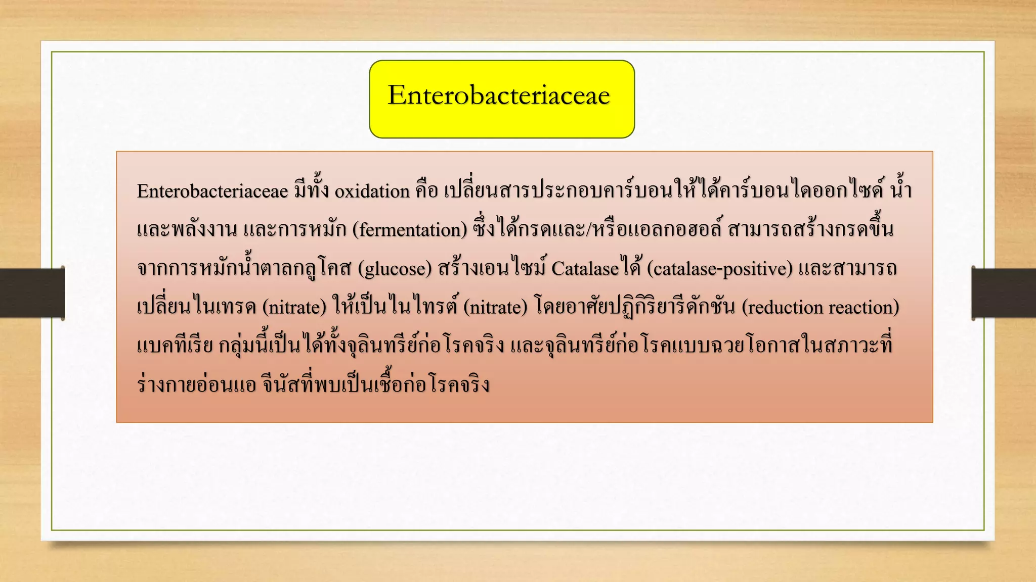 Gram negative bacilli oxidase - | PPTX