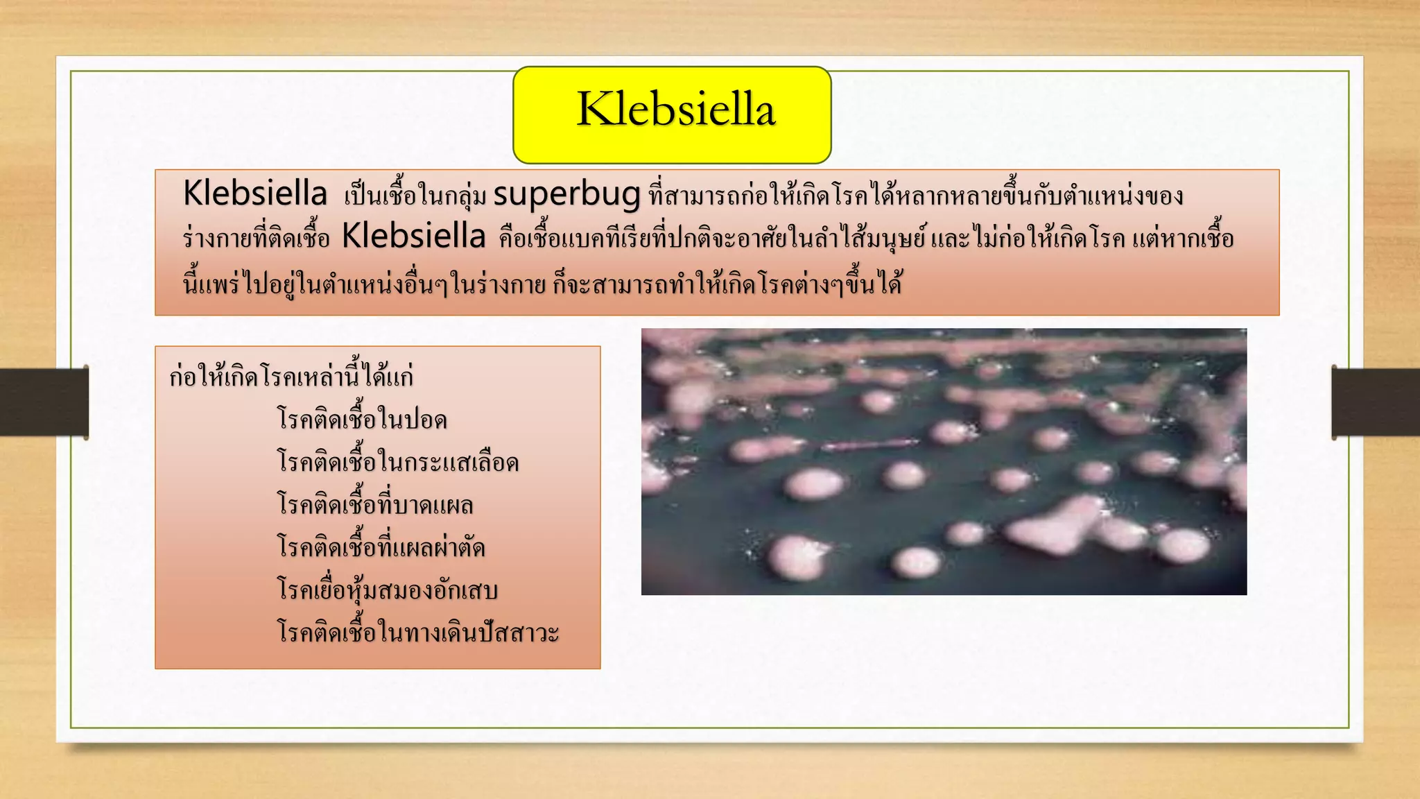 Gram negative bacilli oxidase - | PPTX