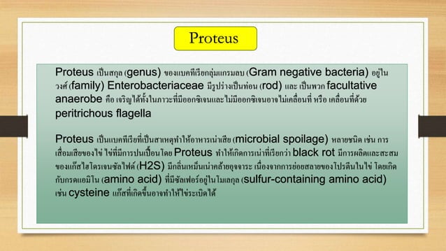 Gram negative bacilli oxidase - | PPT