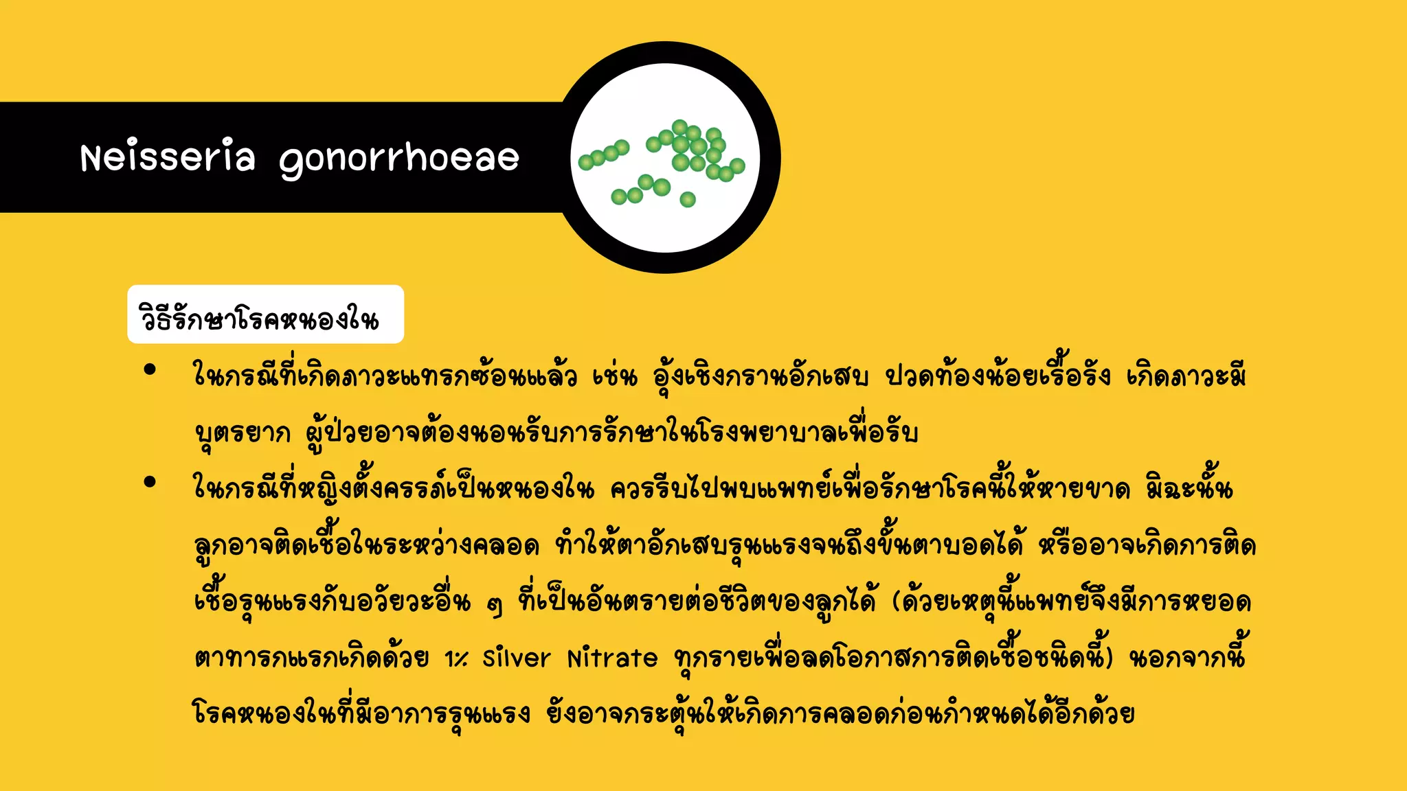 Gram-negative bacteria / oxidase positive | PDF
