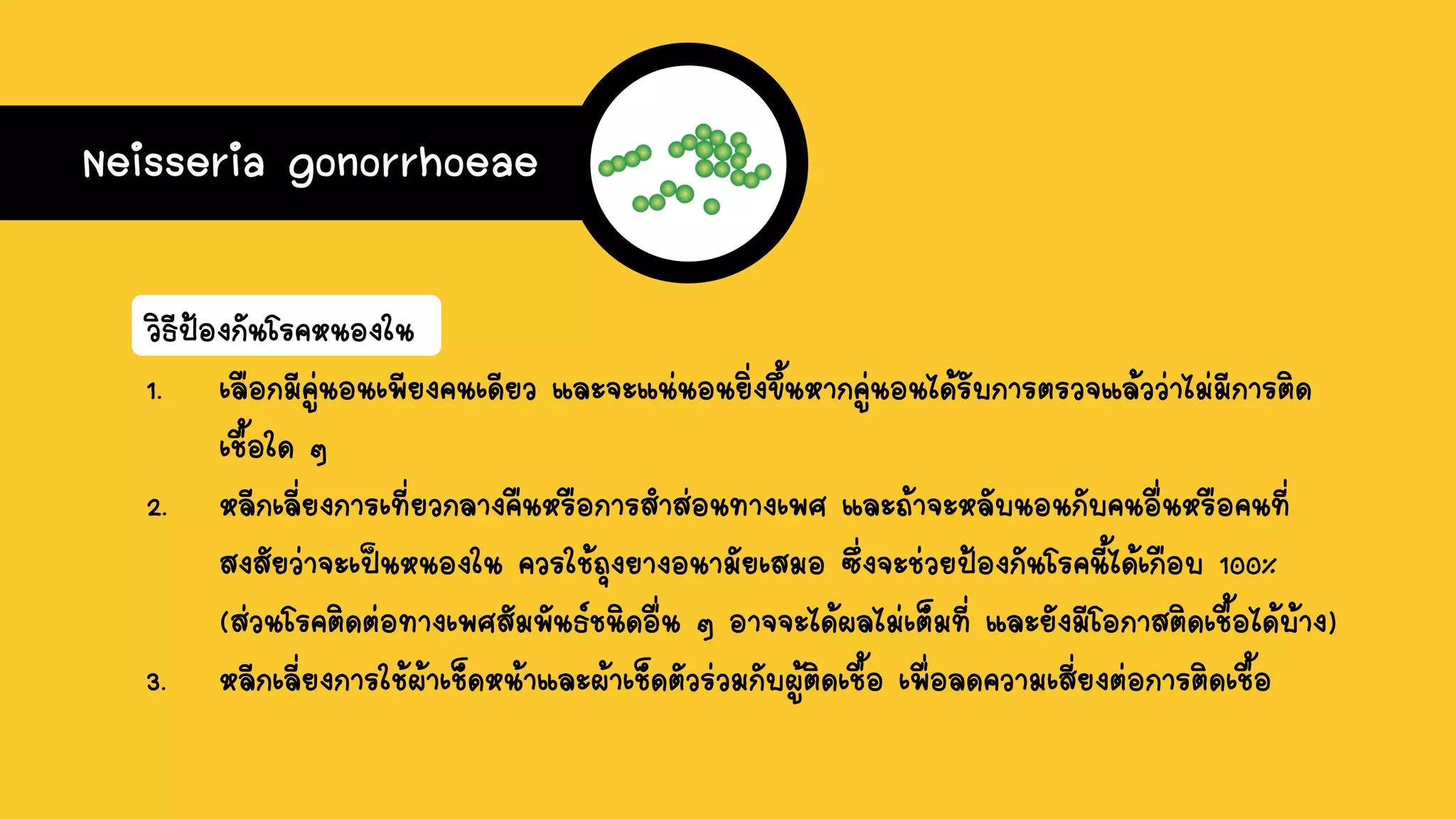 Gram-negative bacteria / oxidase positive | PDF