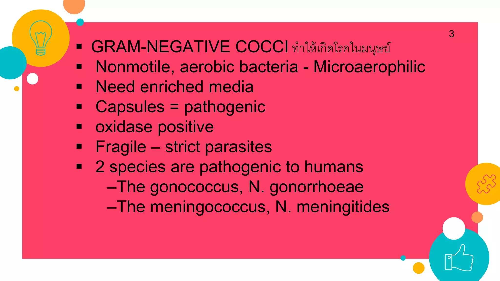 Gram negative cocci | PPT