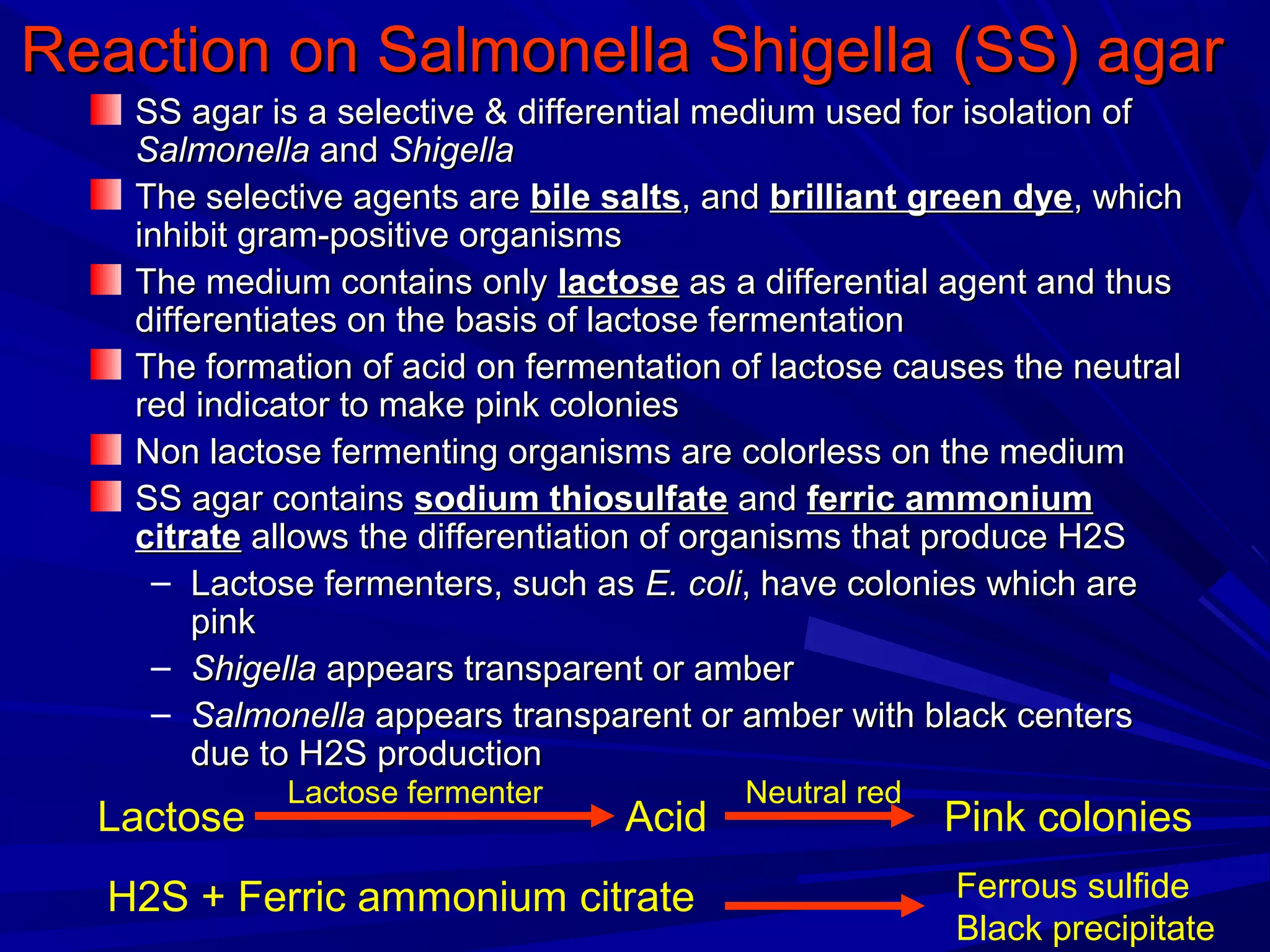 Gram negative rods | PPT