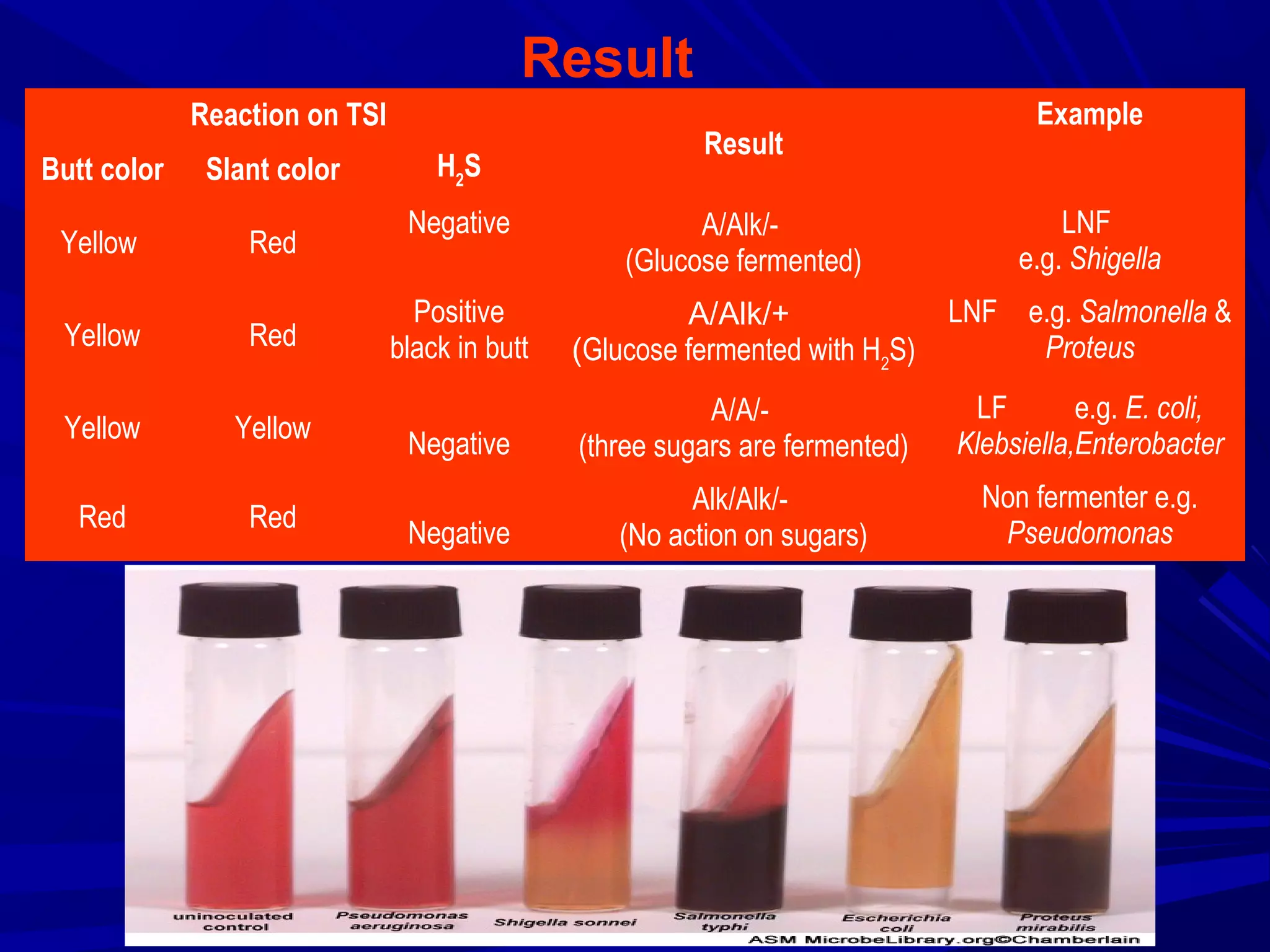 Gram negative rods | PPT