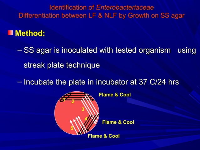 Gram negative rods | PPT