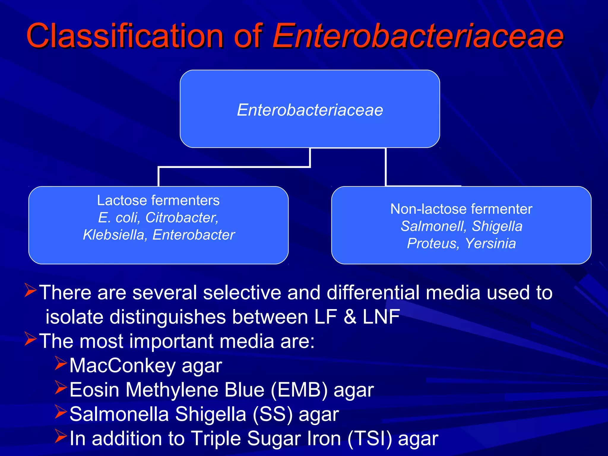 Gram negative rods | PPT