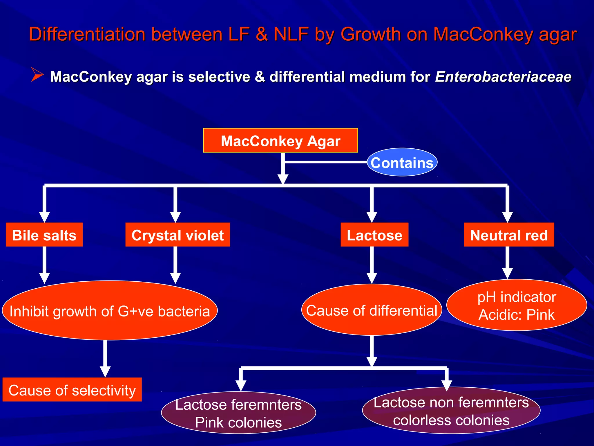 Gram negative rods | PPT