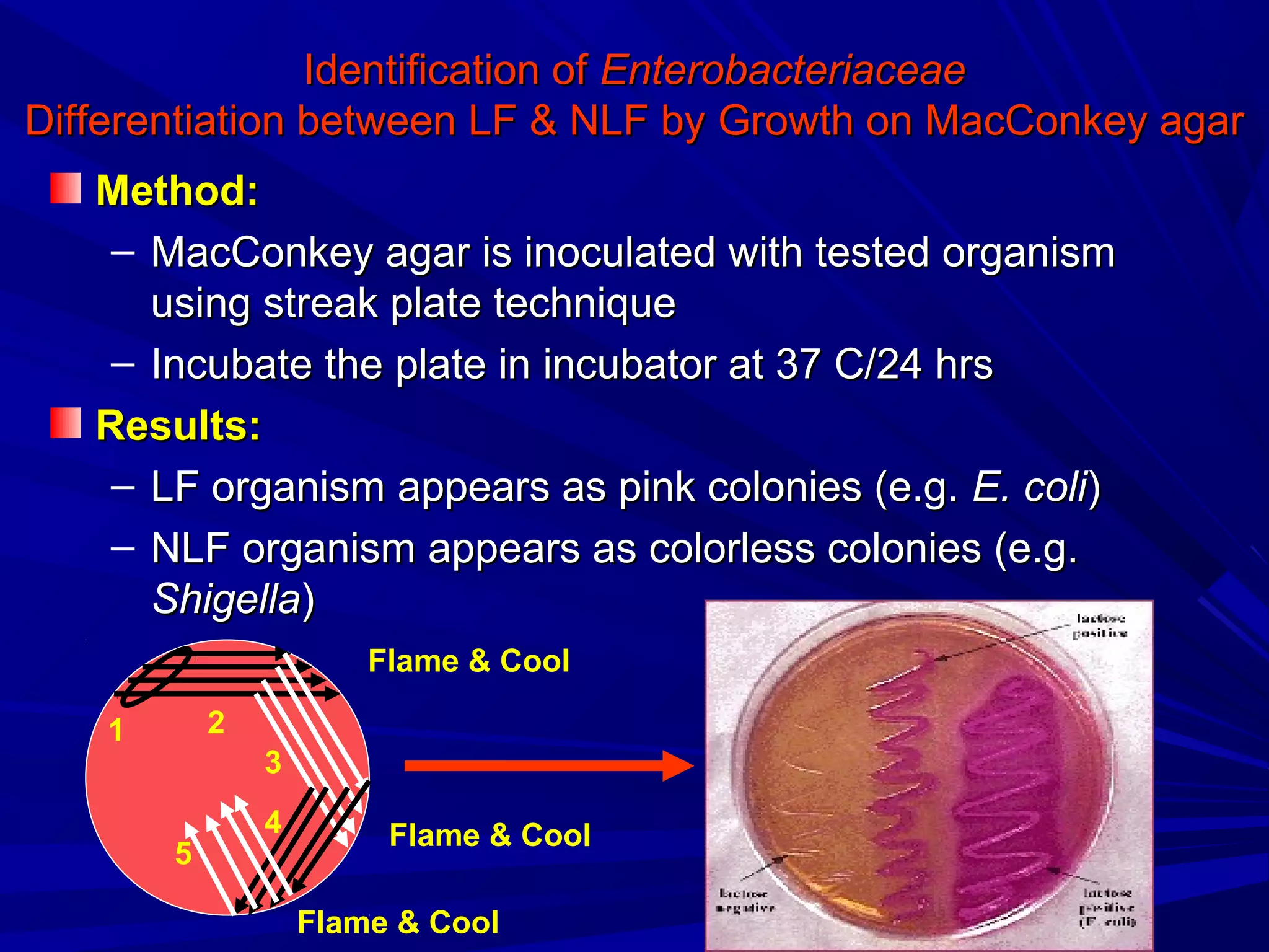 Gram negative rods | PPT