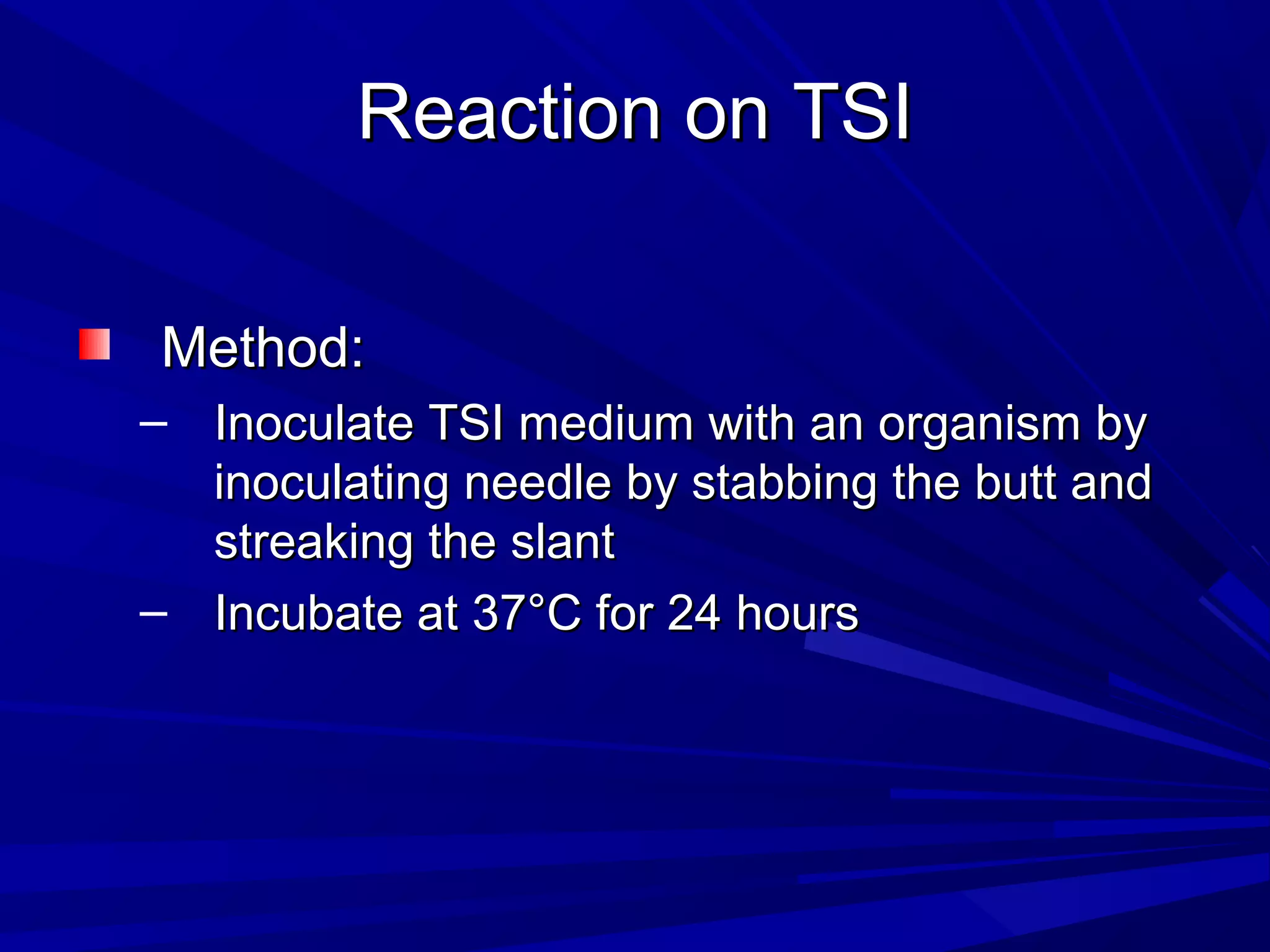 Gram negative rods | PPT