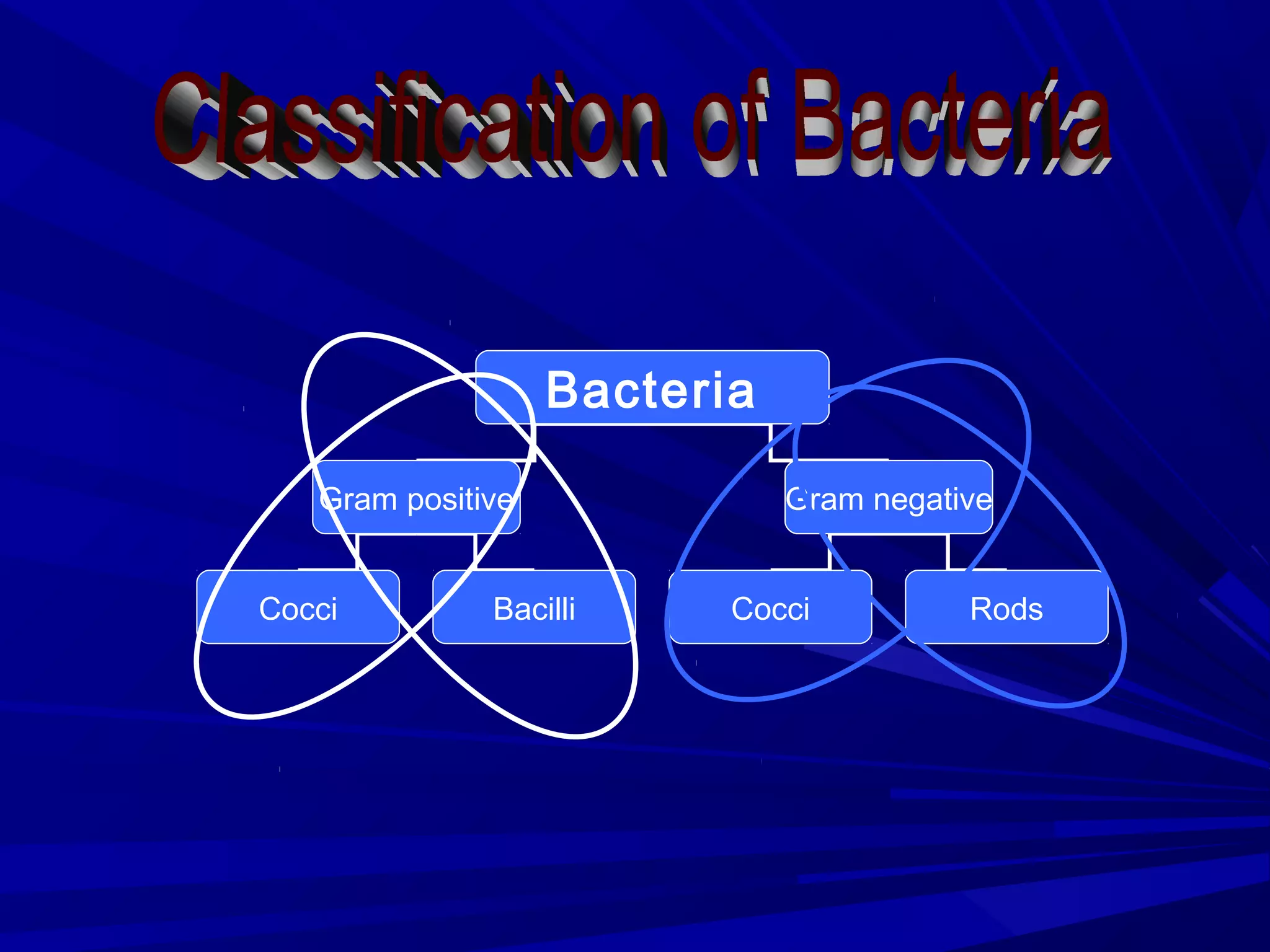 Gram negative rods | PPT