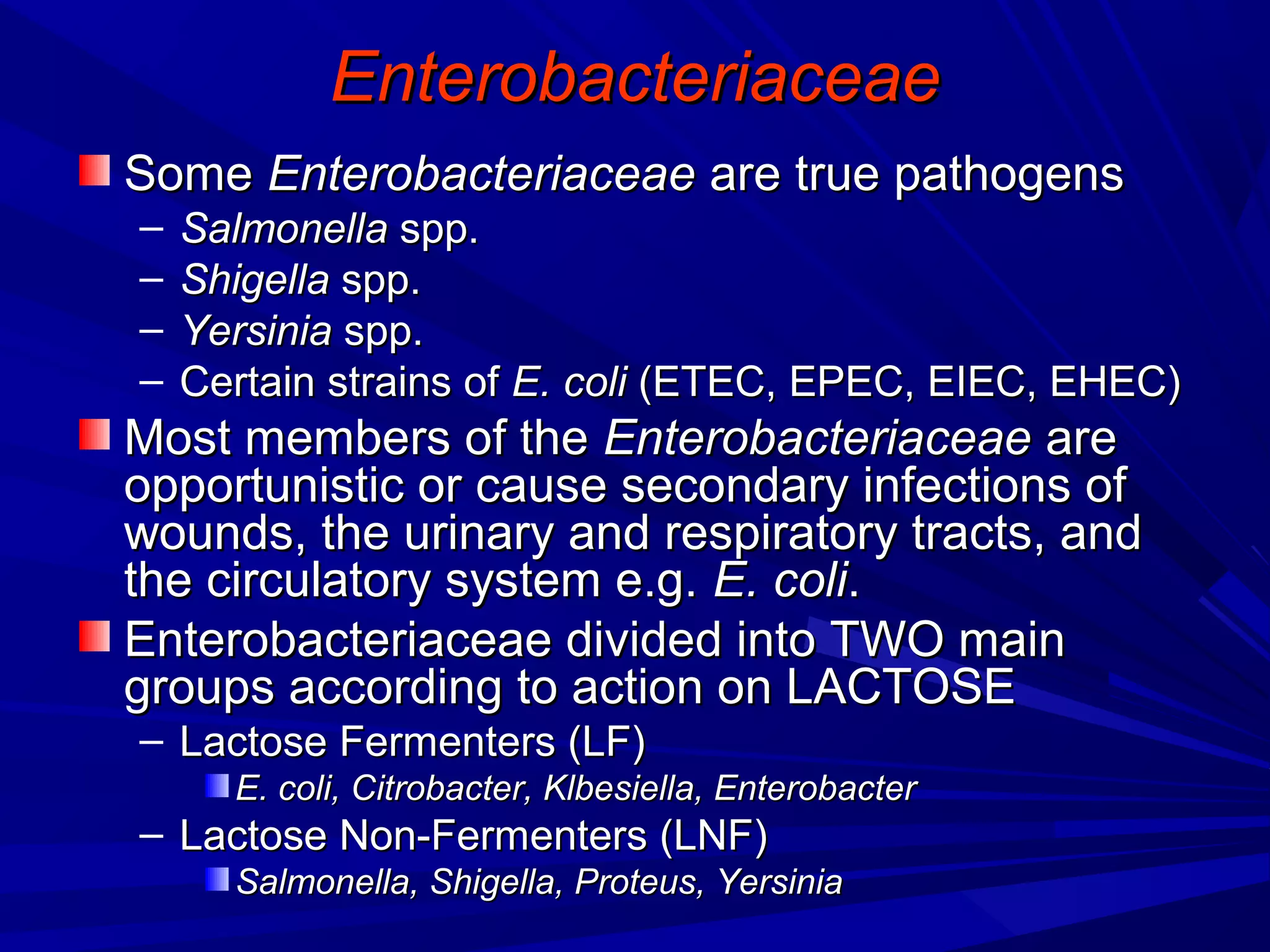 Gram negative rods | PPT