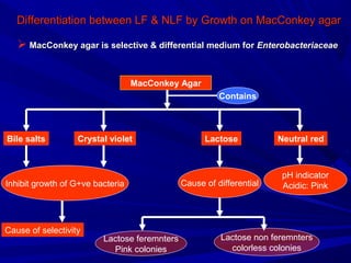 Gram negative rods | PPT