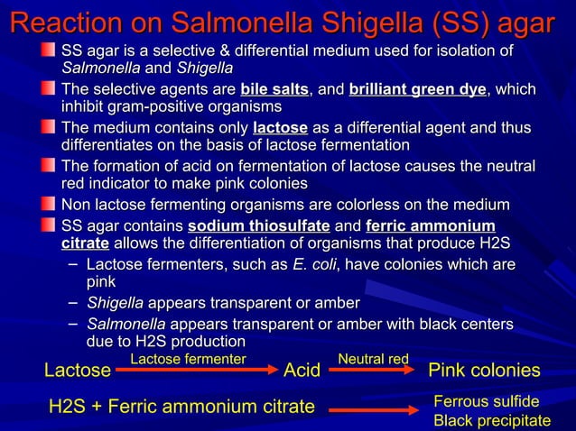 Gram negative rods | PPT