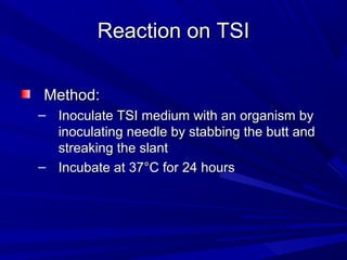 Gram negative rods | PPT
