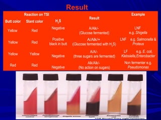 Gram negative rods | PPT