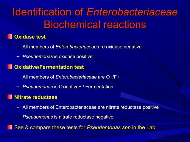 Gram negative rods | PPT