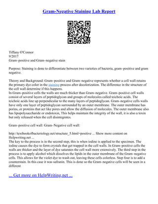 Gram-Negative Staining Lab Report | PDF