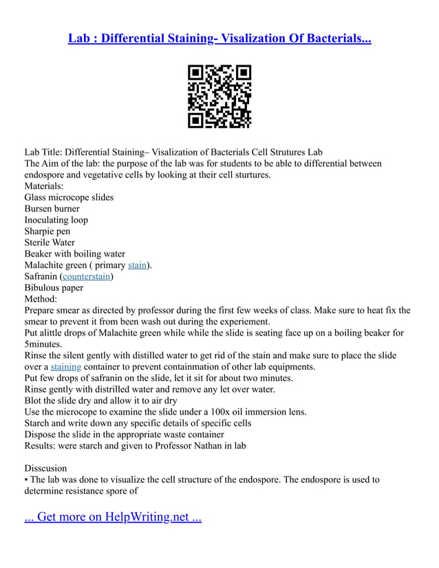 Gram-Negative Staining Lab Report | PDF