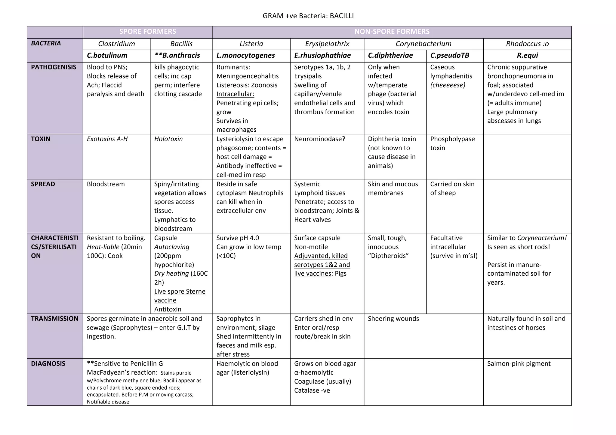 Gram positive bacilli | PDF