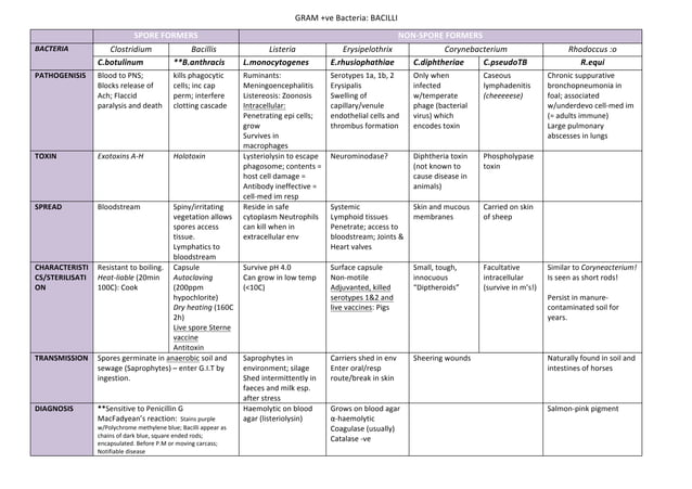 Gram positive bacilli | PDF | Infectious Diseases | Diseases and Conditions