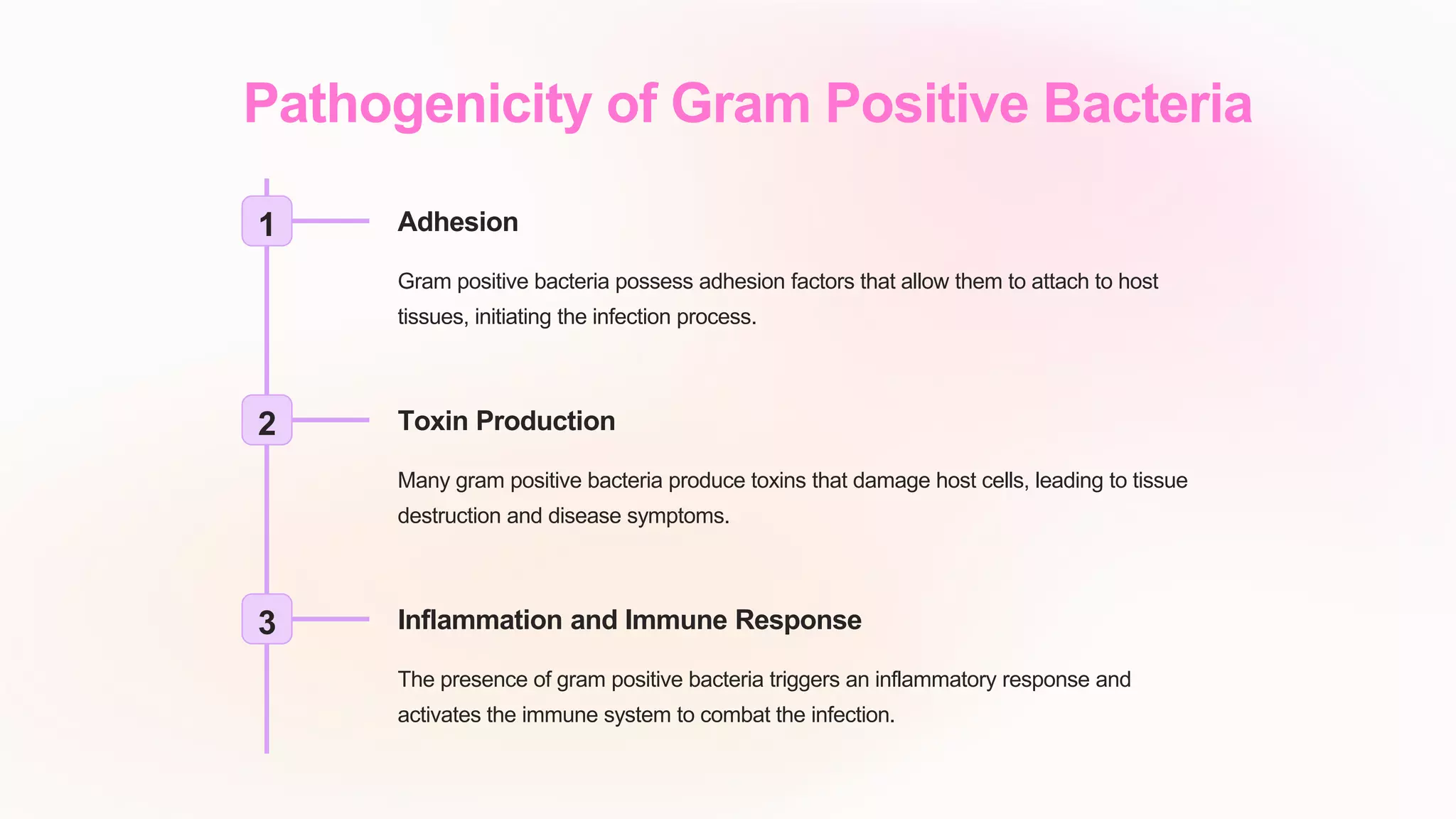 Gram-Positive-Bacteria-Characteristics-Classification-and-Pathogenicity ...