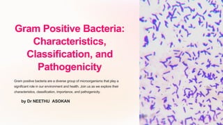 Gram-Positive-Bacteria-Characteristics-Classification-and-Pathogenicity ...