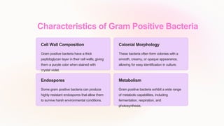 Gram-Positive-Bacteria-Characteristics-Classification-and-Pathogenicity ...
