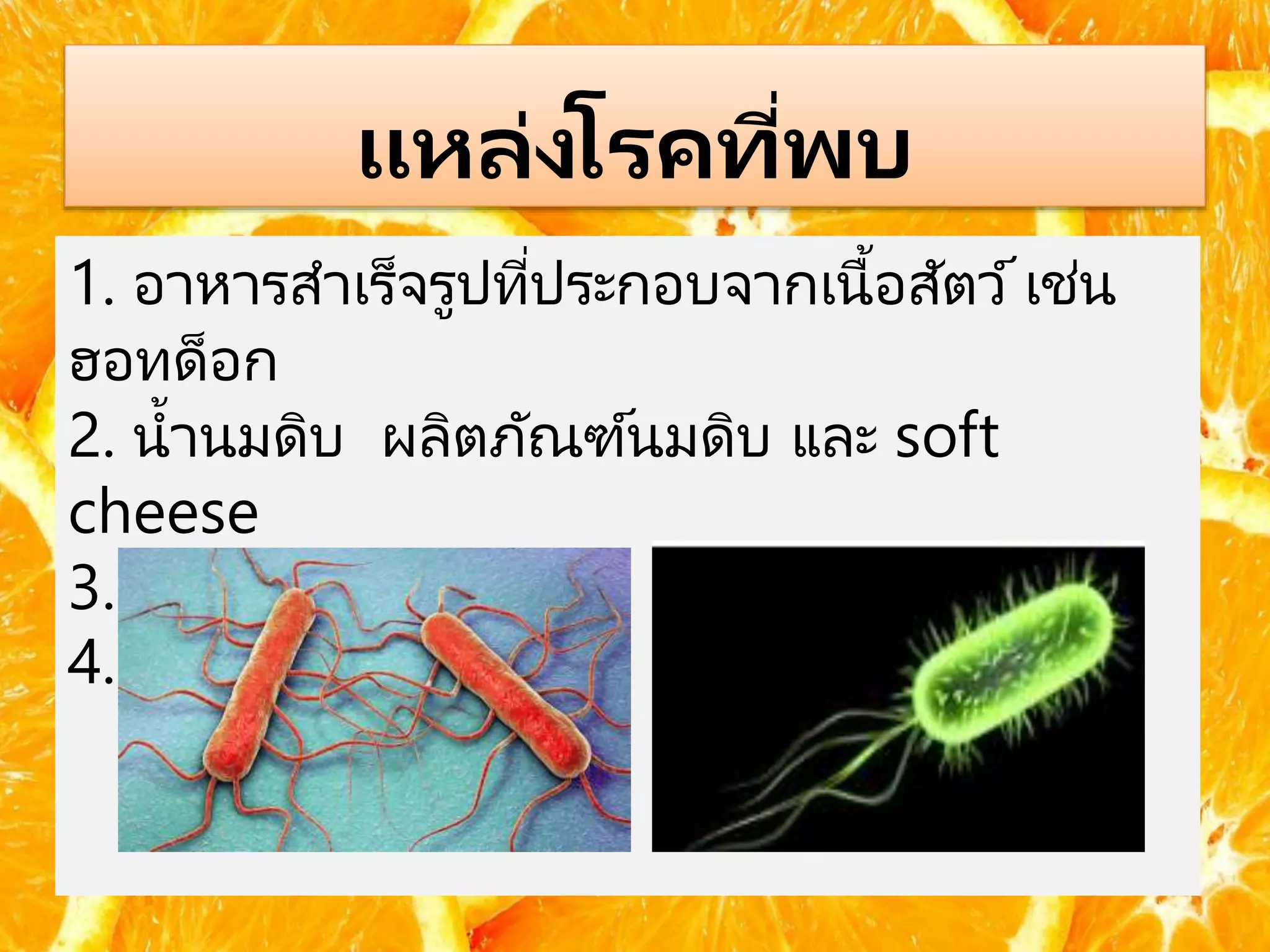 Gram positive bacterial | PPT