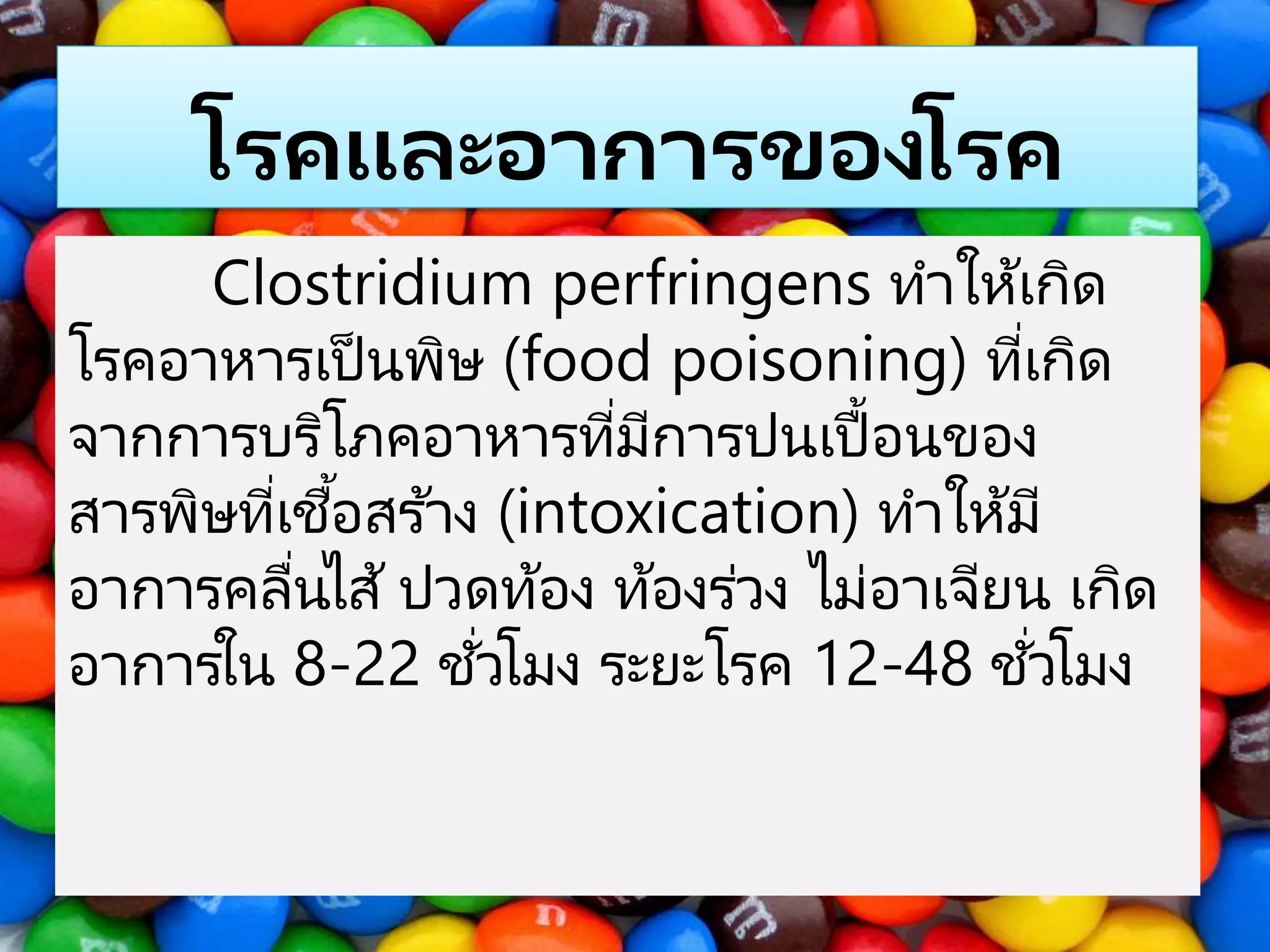 Gram positive bacterial | PPT