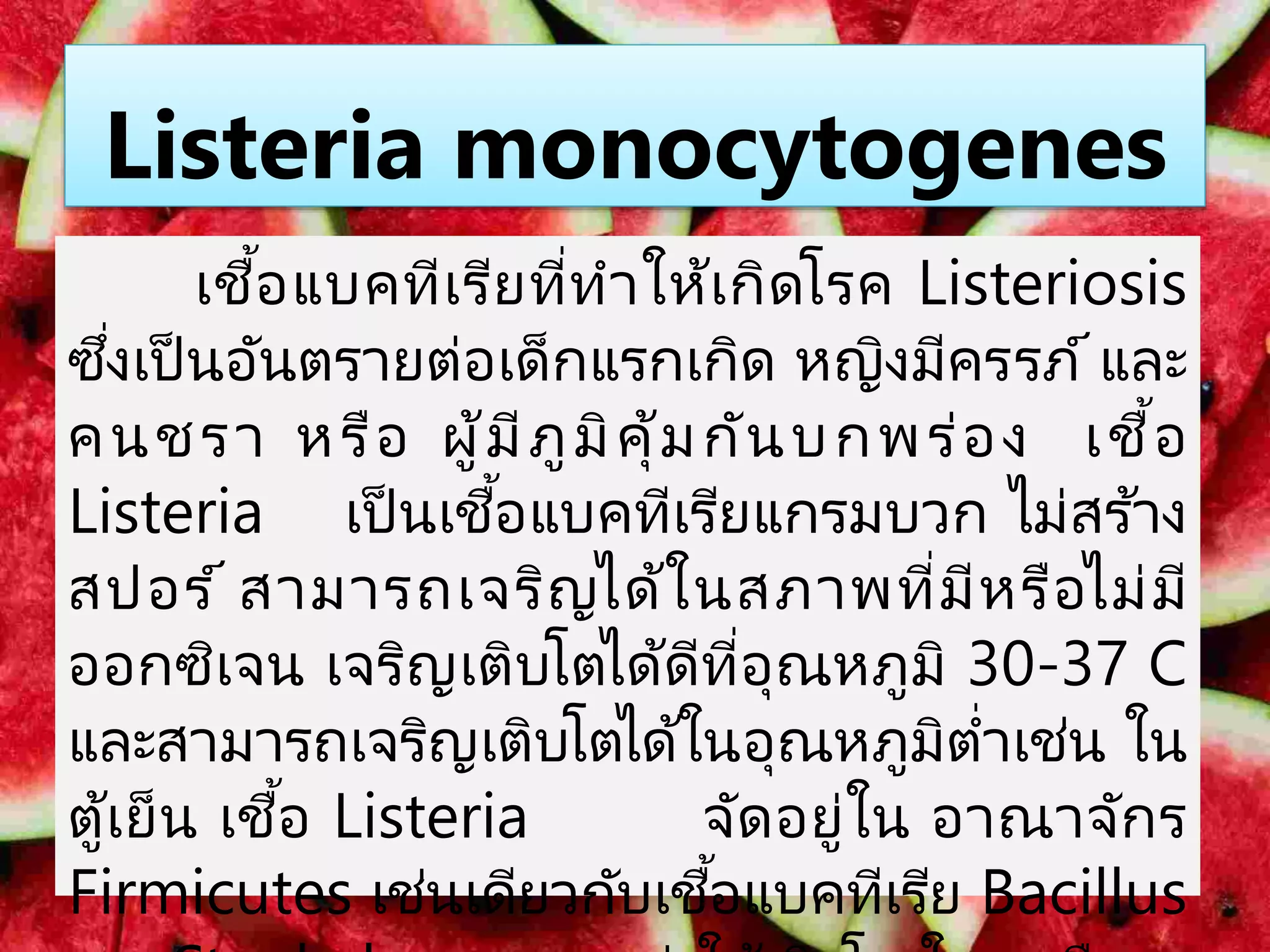 Gram positive bacterial | PPT