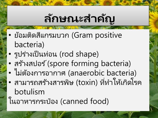 Gram positive bacterial | PPT