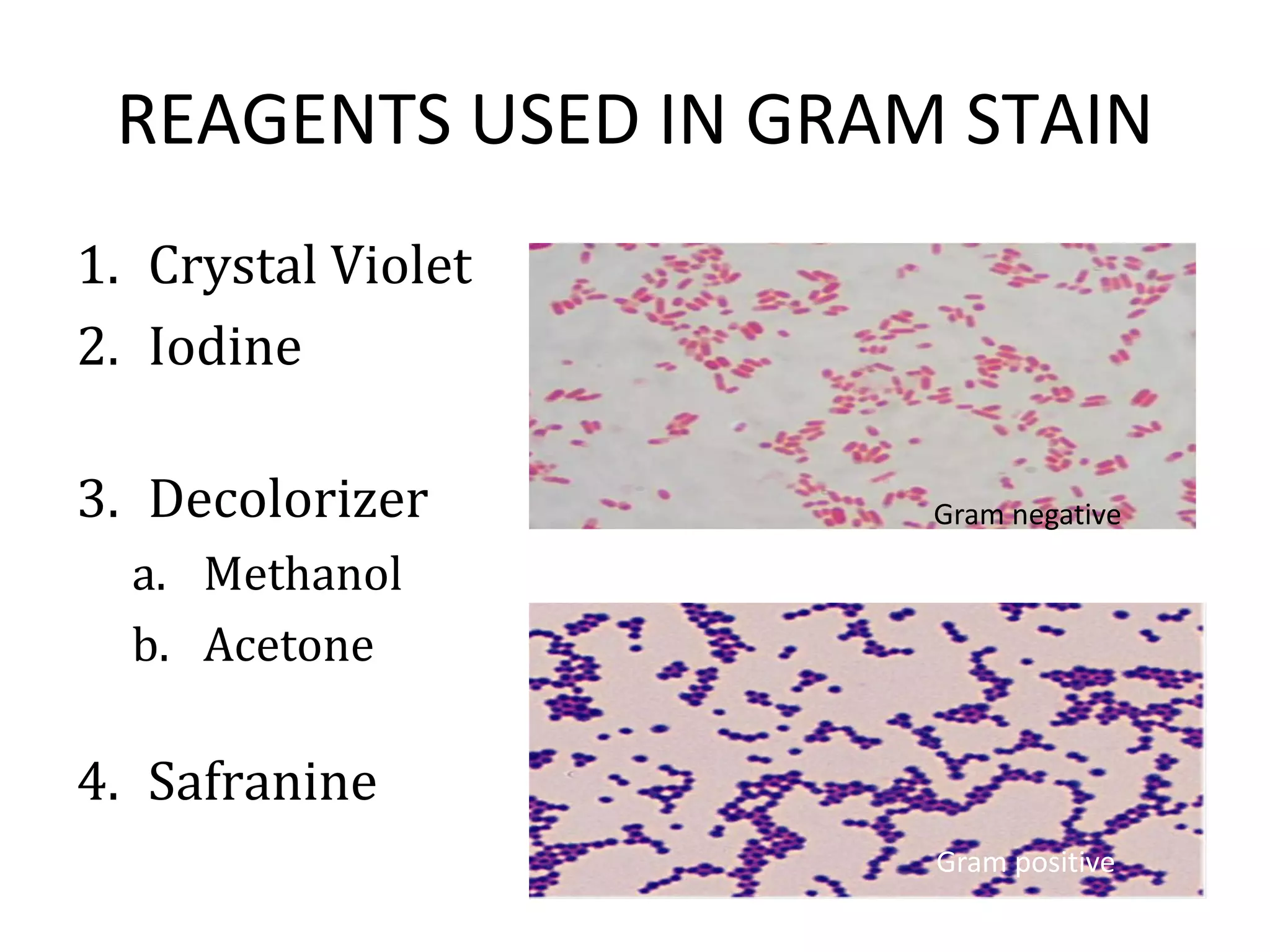 GRAM-STAINING.pdf