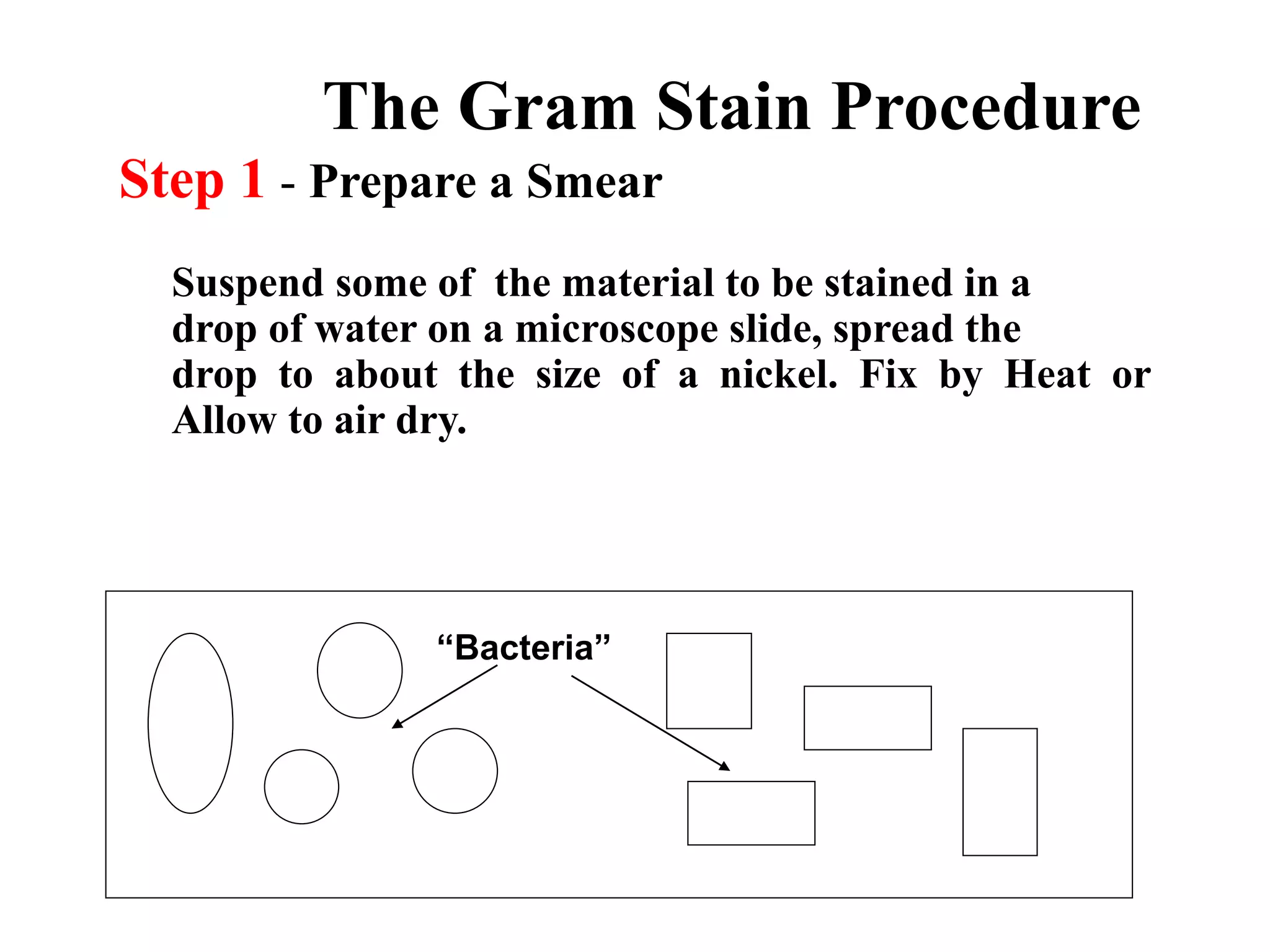 GRAM-STAINING.pdf