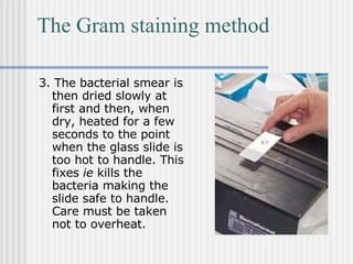 Gram Staining Instructions | PPT