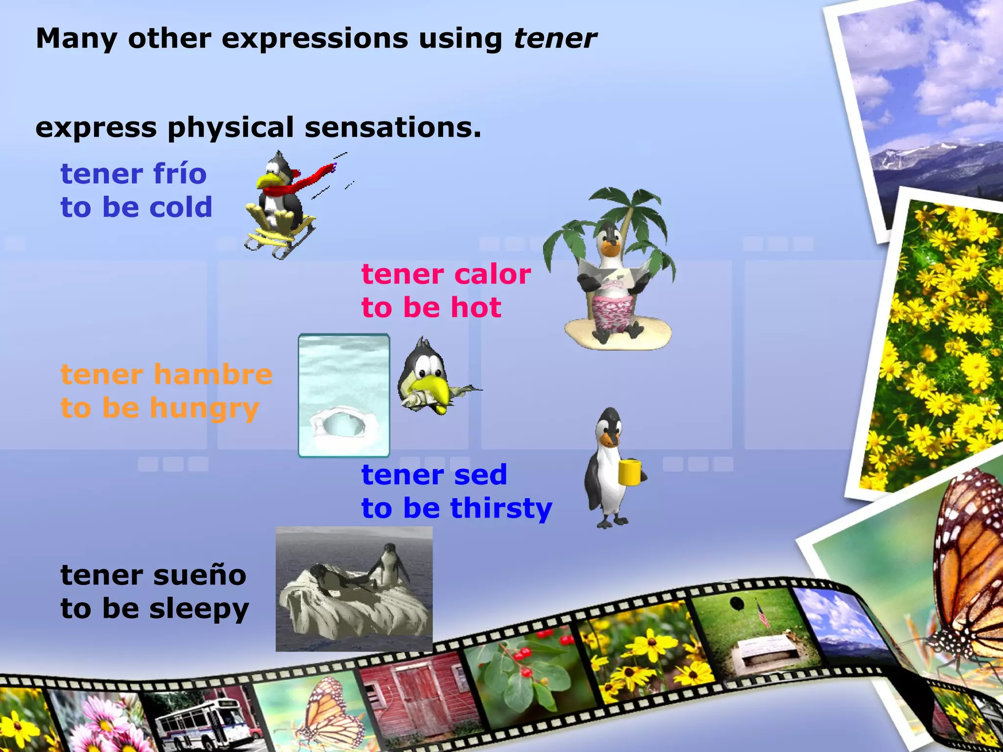 tener idioms | PPT