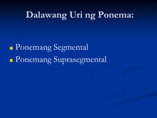 GramatikaPonemaPonolohiya.pptx