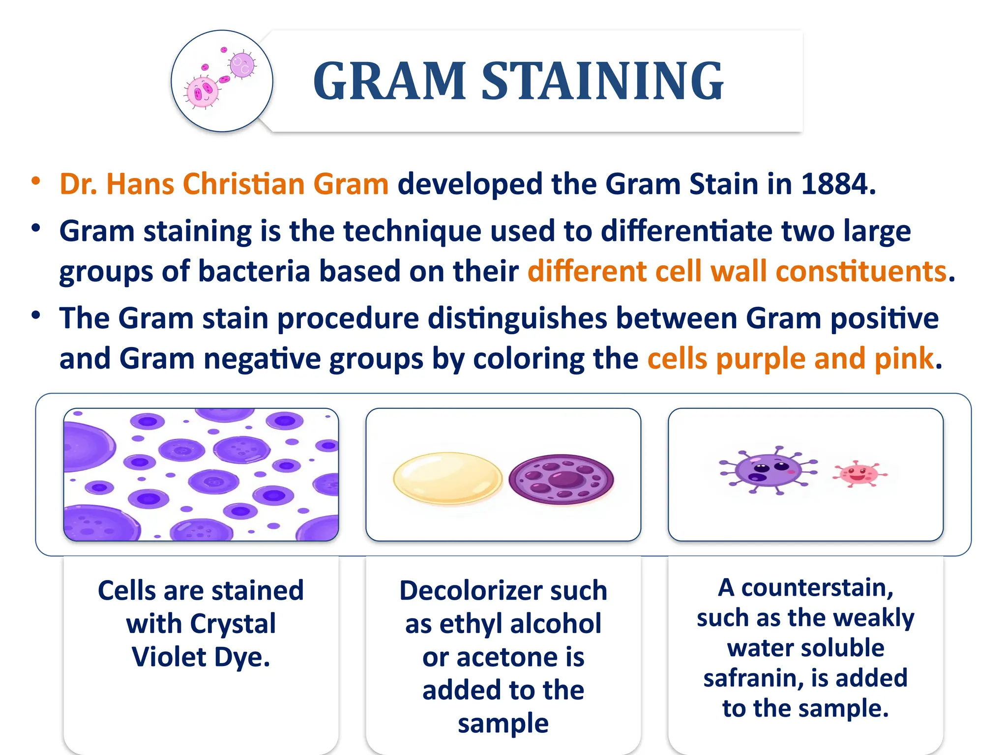Cell wall of Gram-Positive and Gram-Negative Bacteria | PPTX