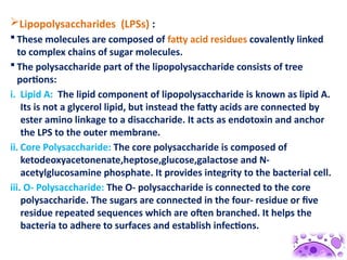 Cell wall of Gram-Positive and Gram-Negative Bacteria | PPTX