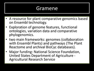 Gramene | PPTX